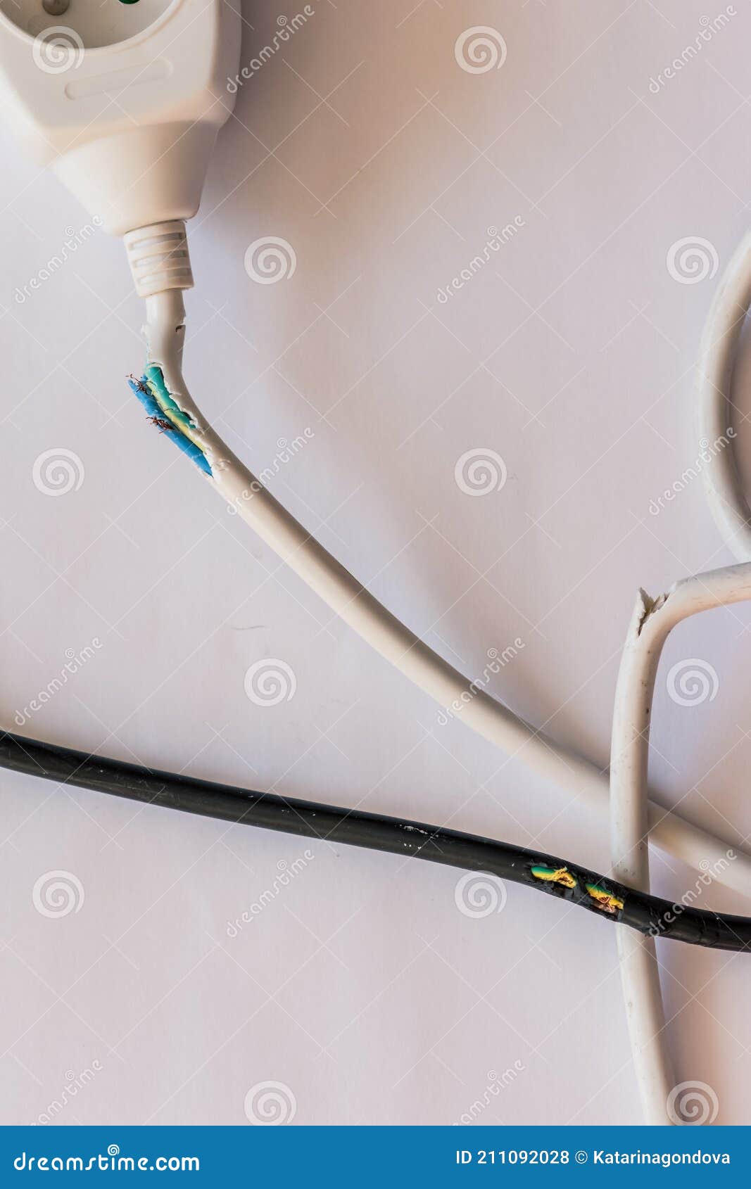 Electrical Cable Chew and Broken Stock Photo - Image of isolated ...
