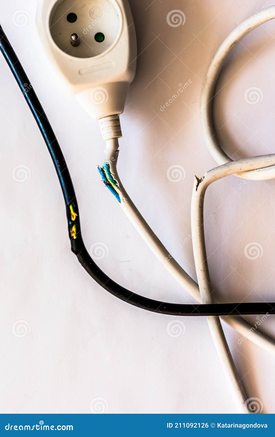 Electrical Cable Chew and Broken Stock Photo - Image of humor, control ...
