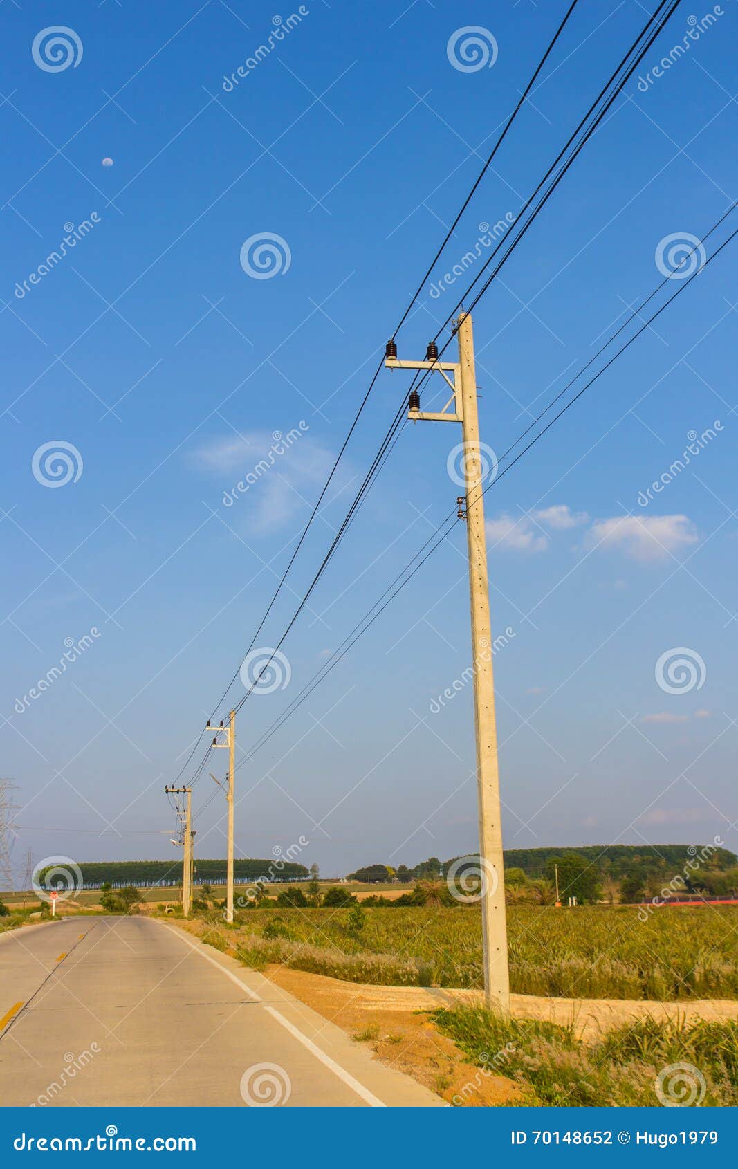 Electrical Cable on the Posts Stock Photo - Image of background, high ...