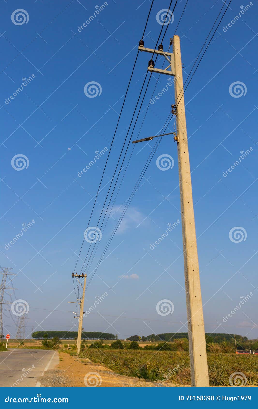 Electrical Cable on the Posts Stock Photo - Image of electrical, line ...
