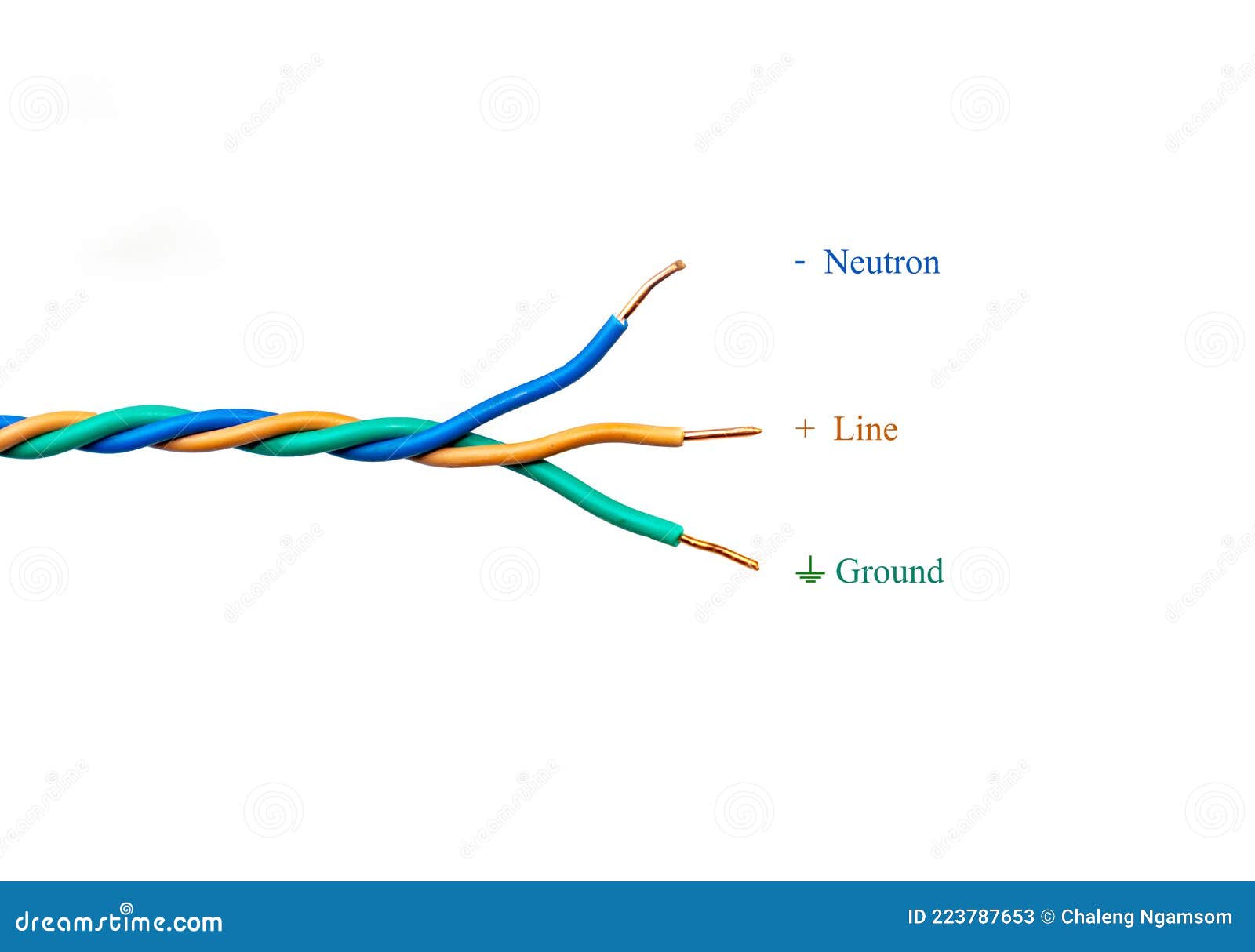 Electrical Cable with Three Insulated Conductors. IEC Standard Stock ...
