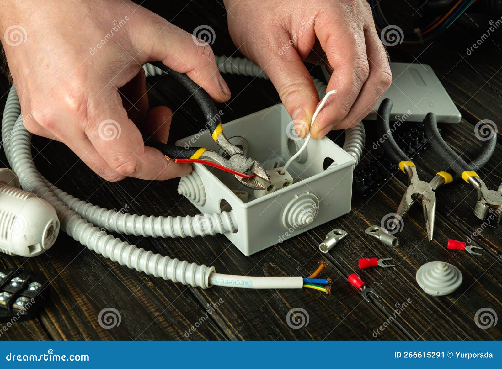 The Electrical Connection in the Workshop of a Master Electrician ...