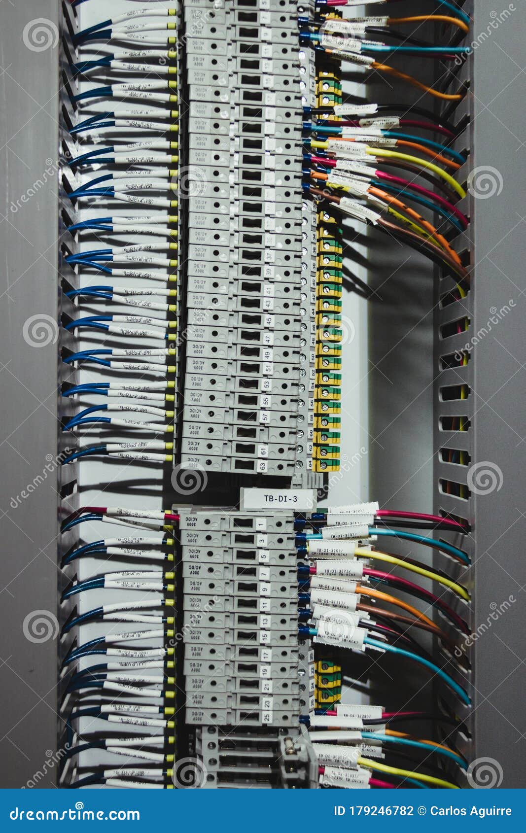 Electrical Connections, Distribution and Control Board, Ordered and ...