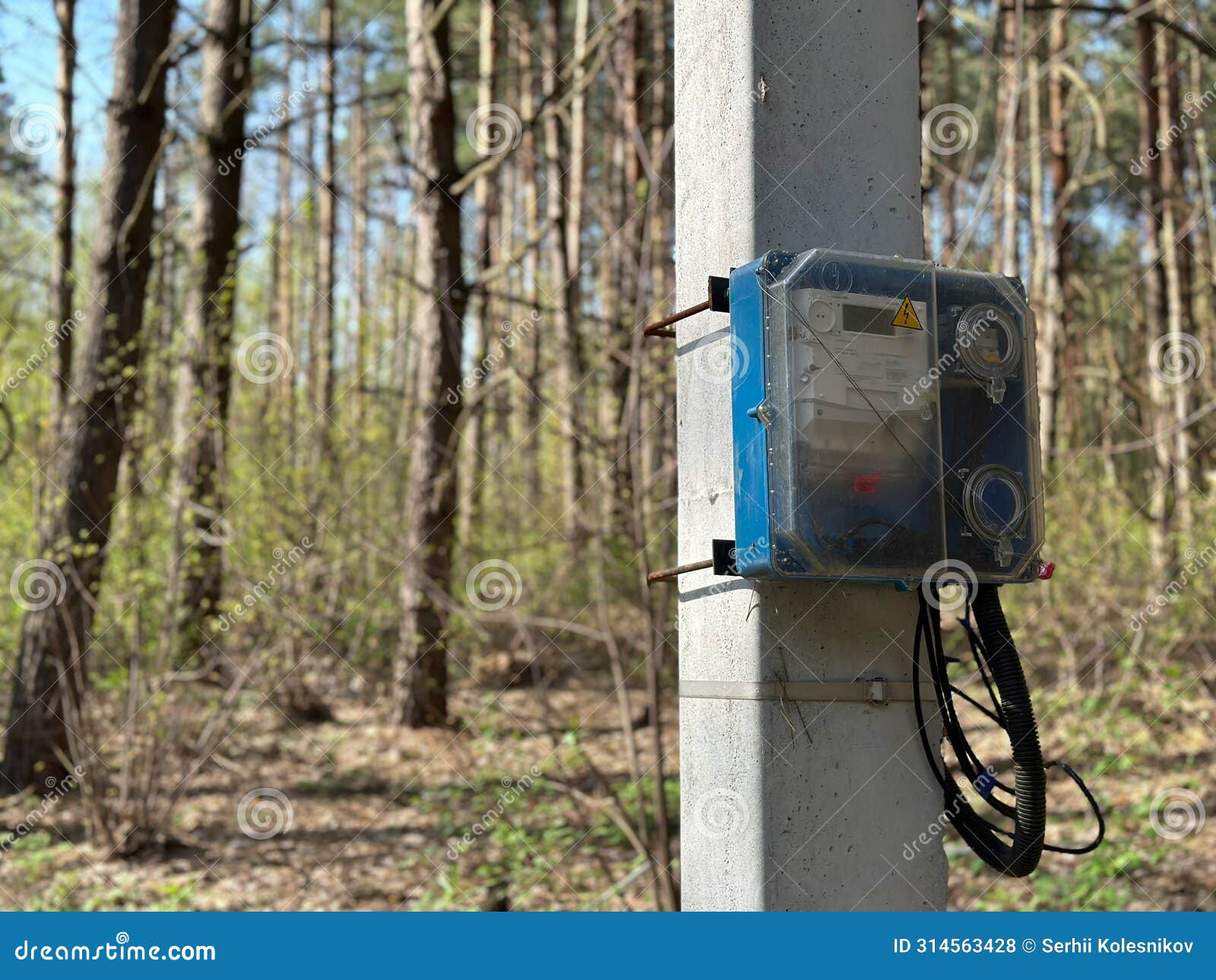 Electrical Distribution Panel in the Middle of the Forest. Electric ...