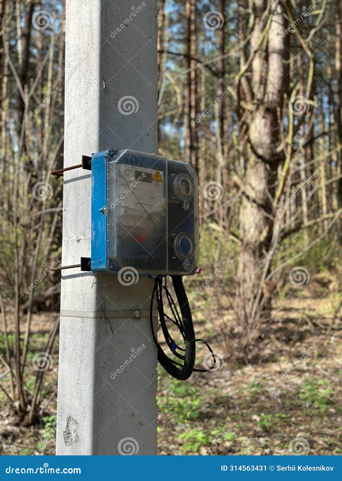 Electrical Distribution Panel in the Middle of the Forest. Electric ...