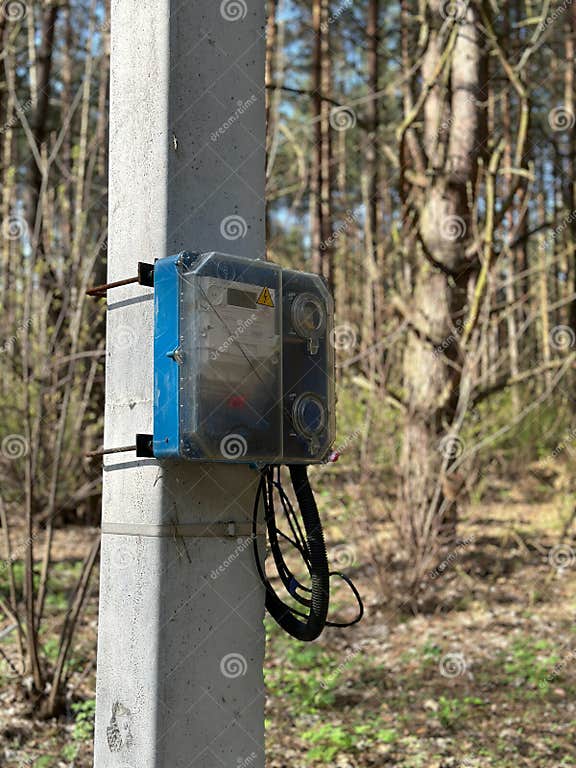 Electrical Distribution Panel in the Middle of the Forest. Electric ...