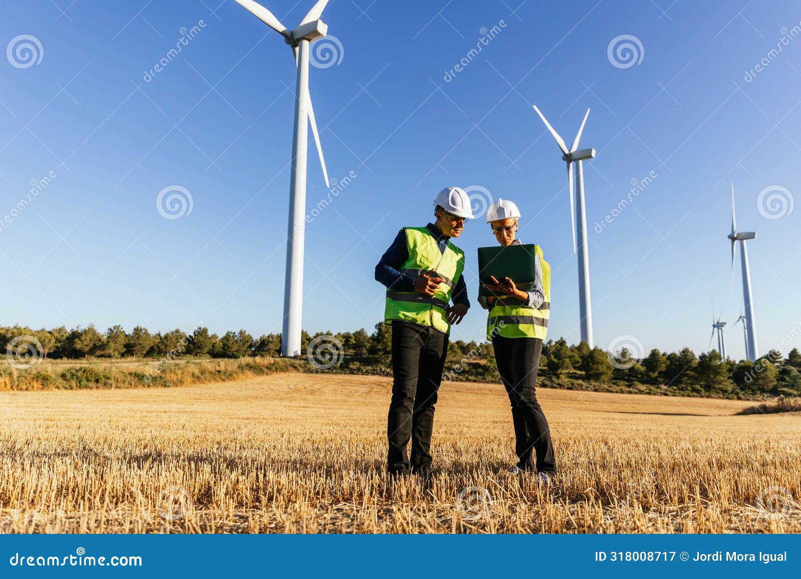 Electrical Engineer and Female Systems Engineer Analyzing Renewable Energy Software. Stock Image ...