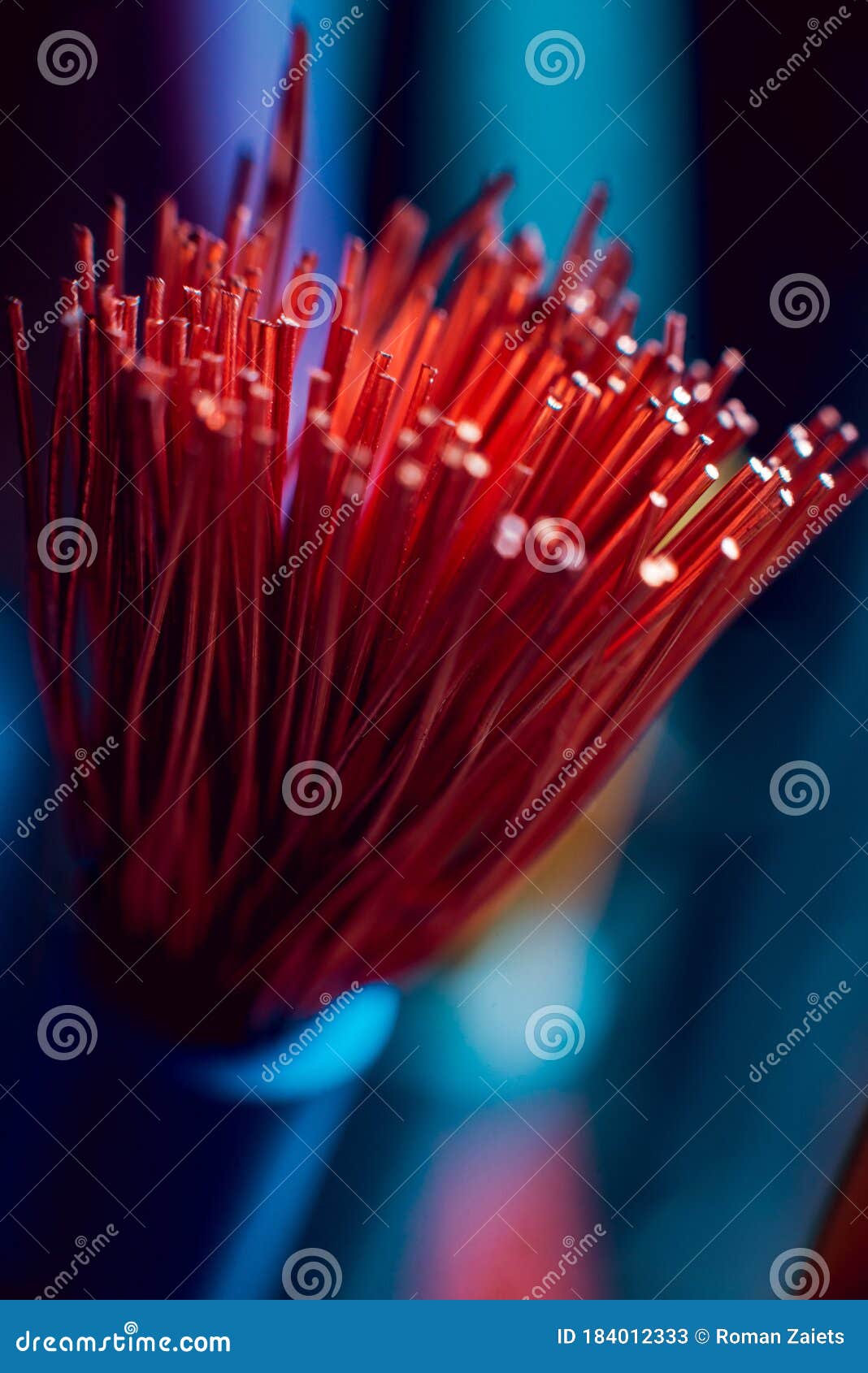 Electrical Equipment. Electricity Cable. Background and Texture. Stock ...
