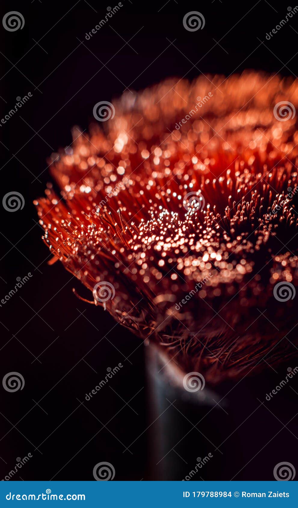 Electrical Equipment. Electricity Cable. Background and Texture. Stock ...