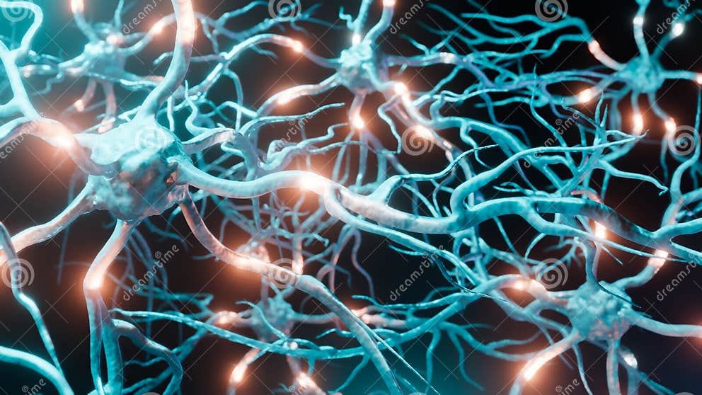 Neuronal and Synapse Activity 3d Render. Active Neuron, Neuroactivity ...