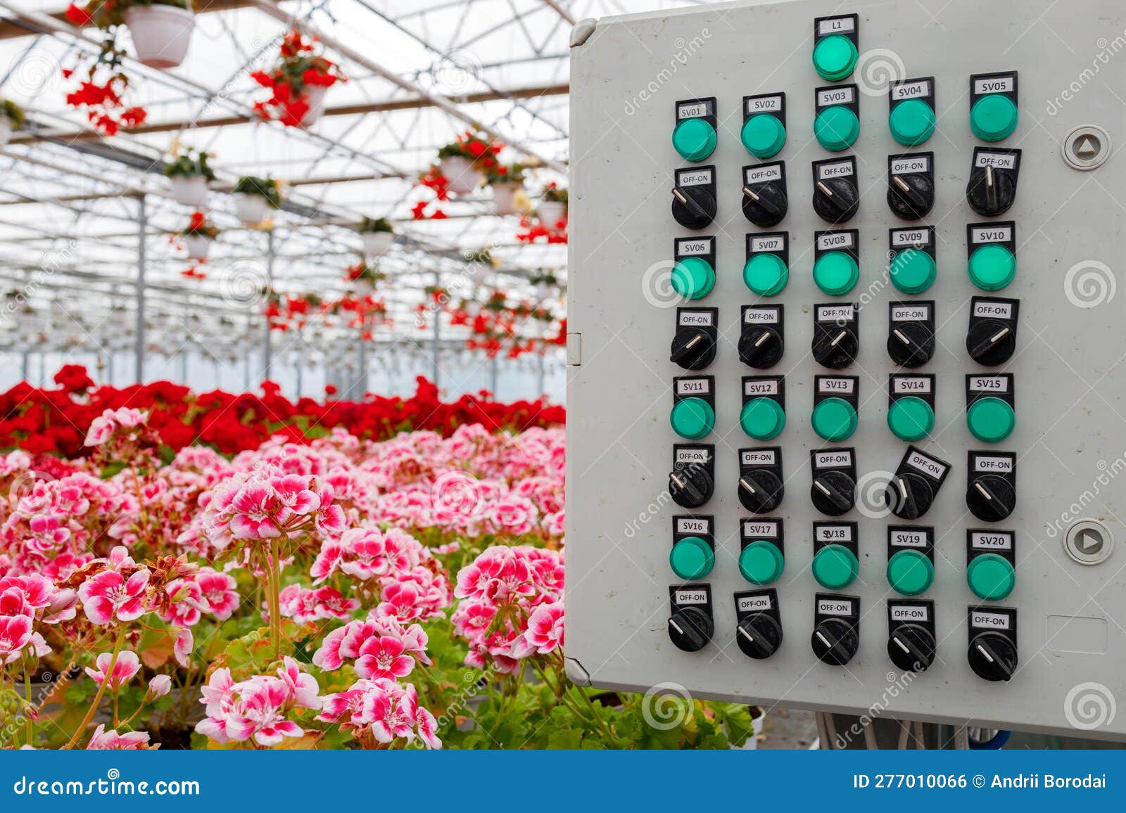 Electrical Irrigation Control Panel in a Modern Greenhouse for Growing ...