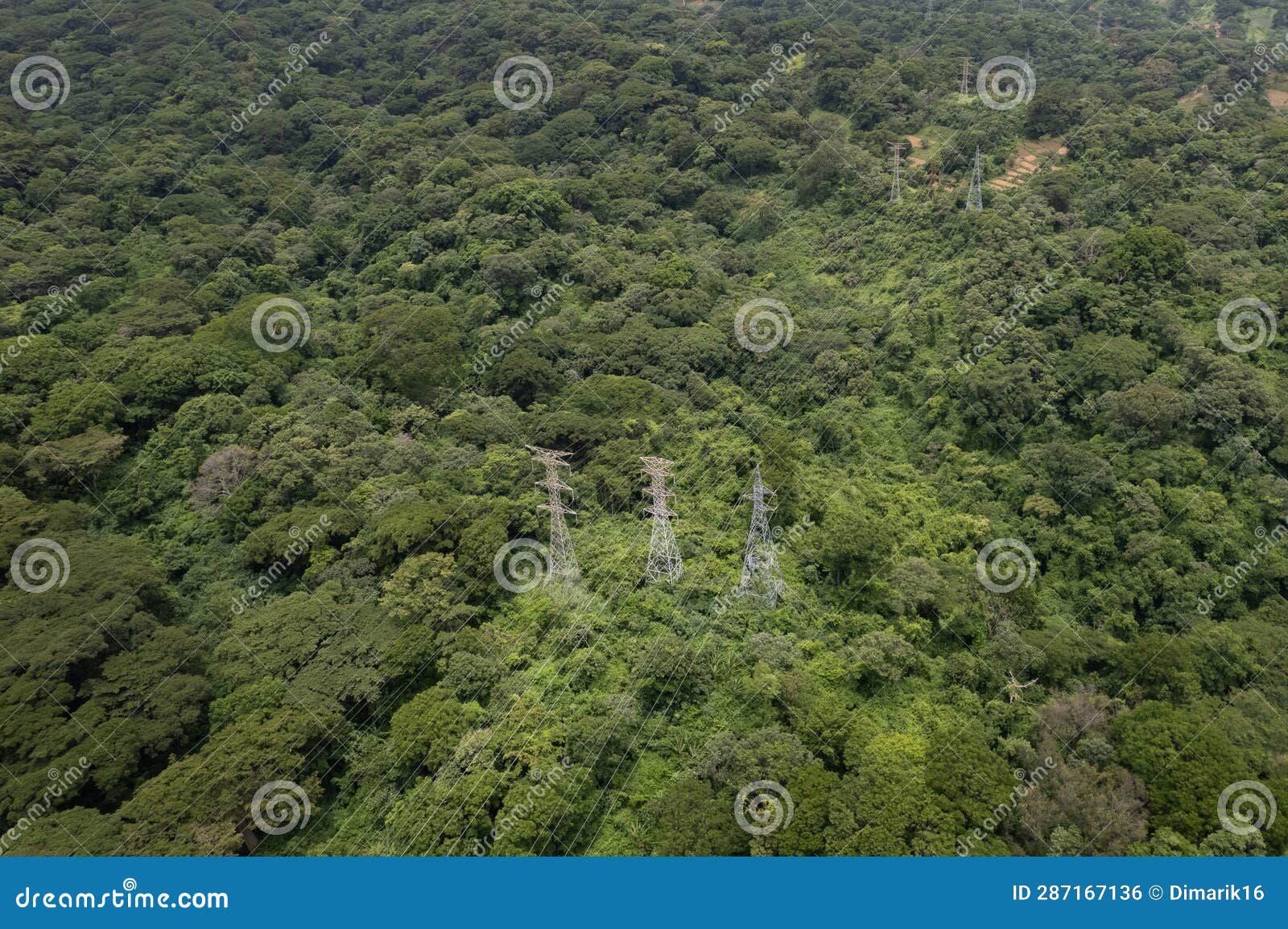 Electrical Line Around Jungle Environment Stock Photo - Image of ...