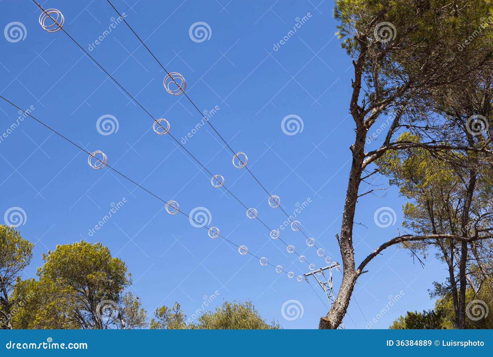 Electrical Lines Birds Protection Stock Image - Image of birds ...