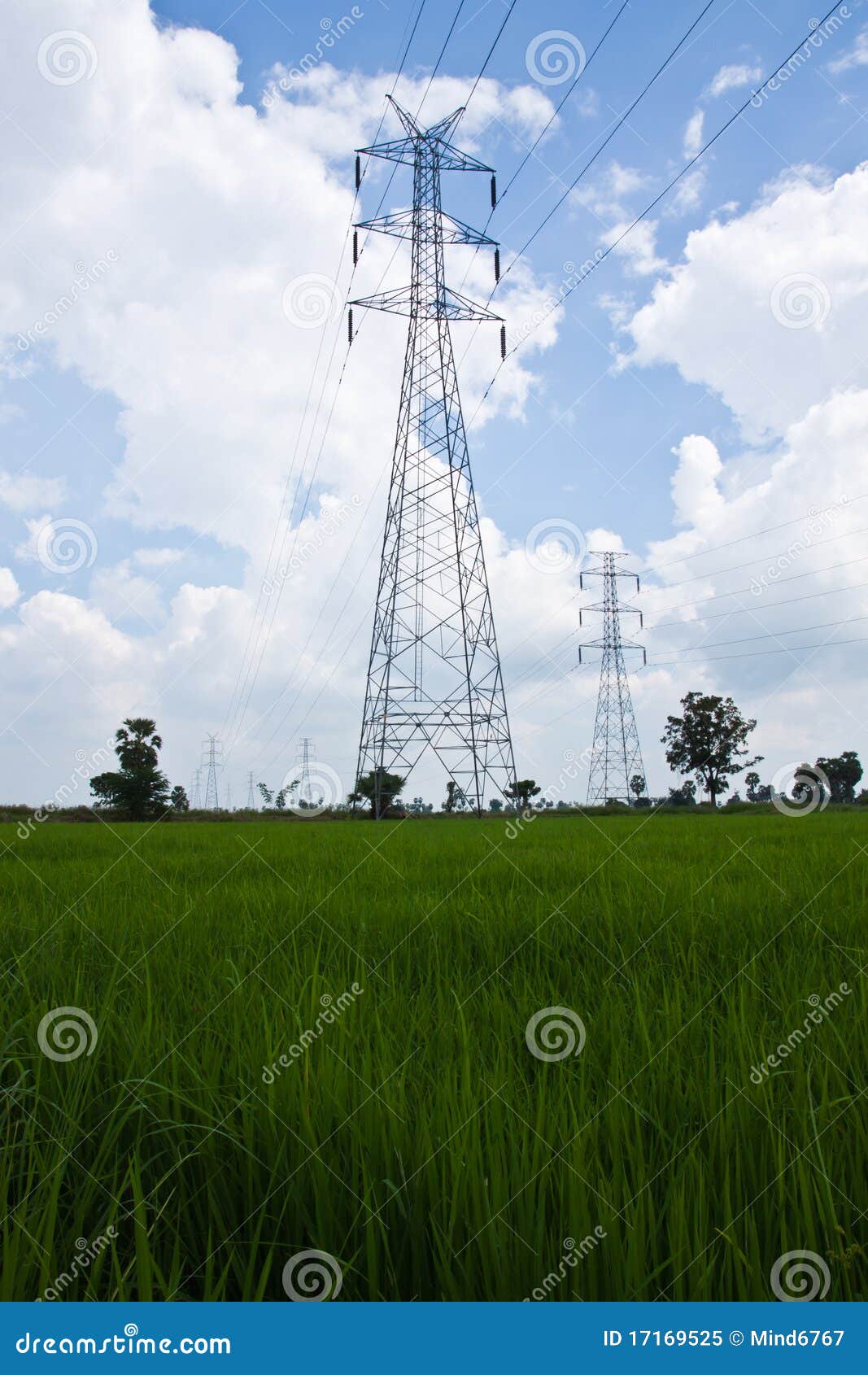 Electrical Net of Blue Sky and Green Mead Stock Image - Image of ...