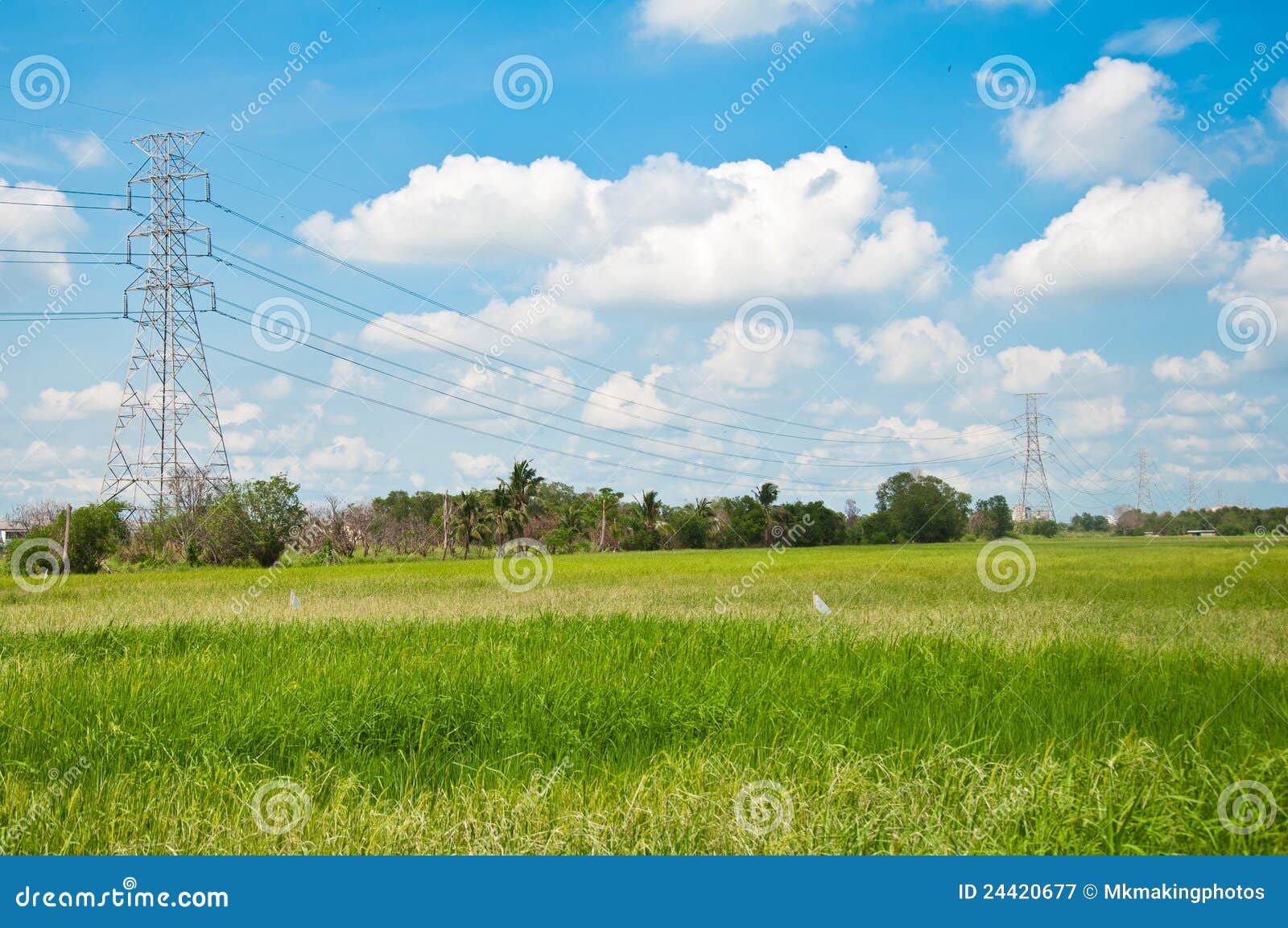 Electrical Net of Poles on Blue Sky Stock Image - Image of blue, link ...