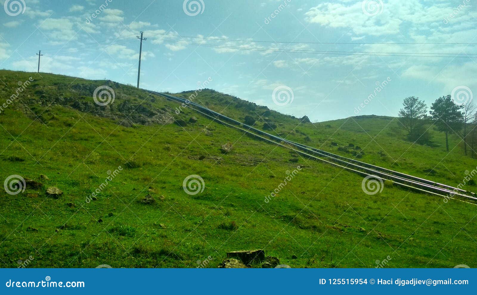 Electrical Network in the Forest Stock Photo - Image of tcam, wired ...