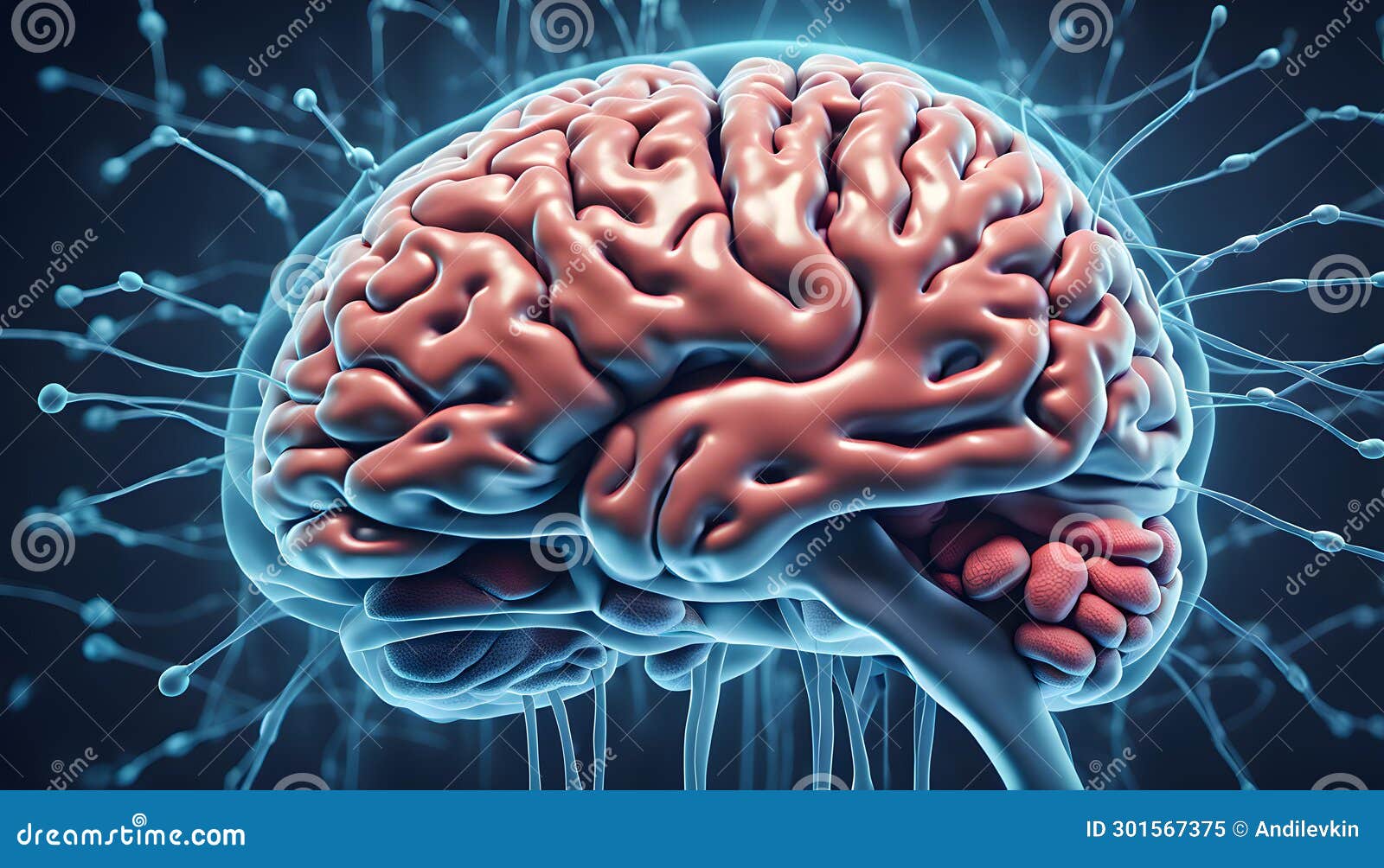 Electrical Neuronal Activity of the Human Brain Stock Illustration ...