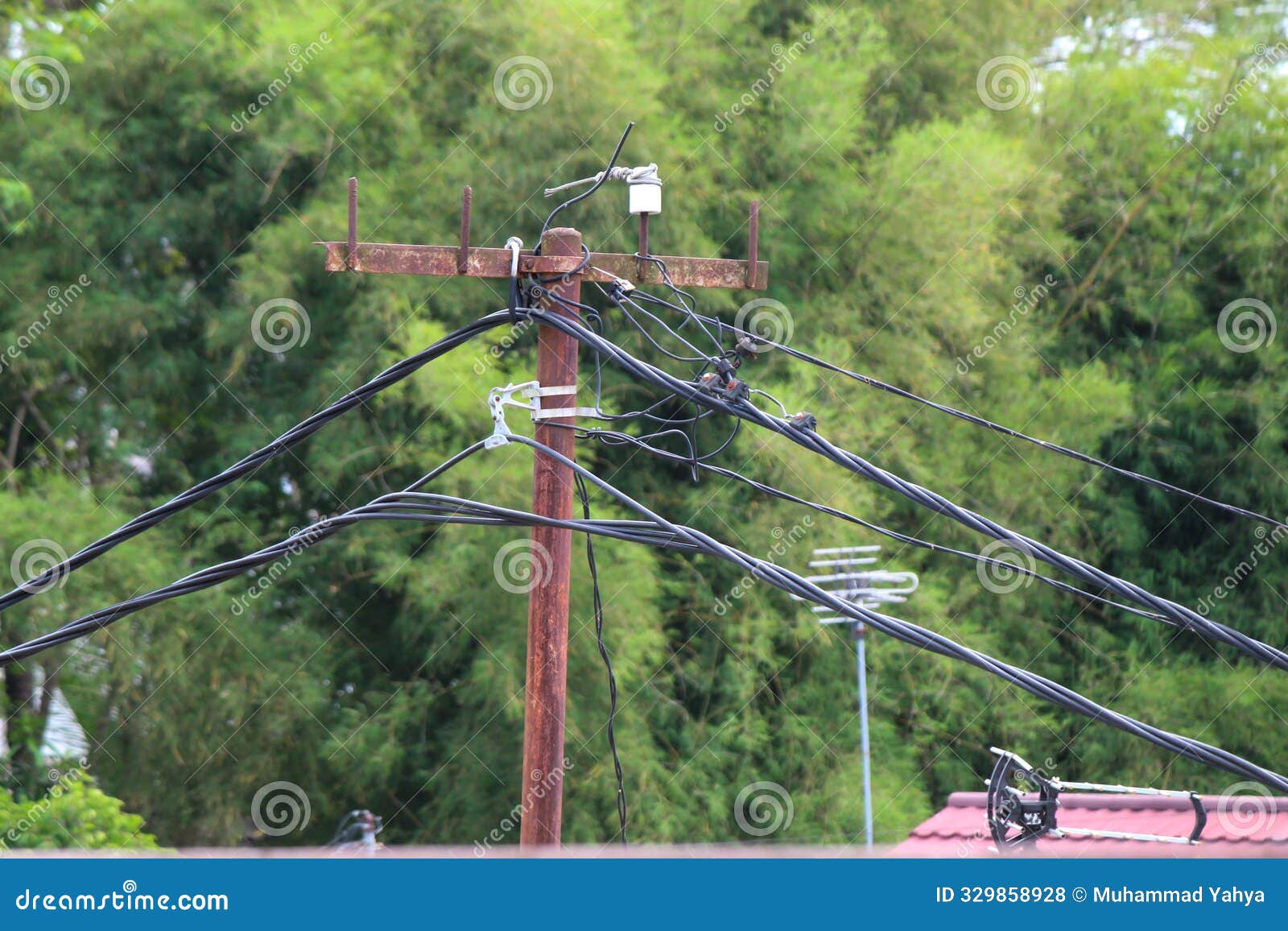 Electrical Pole and Cables with Trees in the Background Stock Photo ...