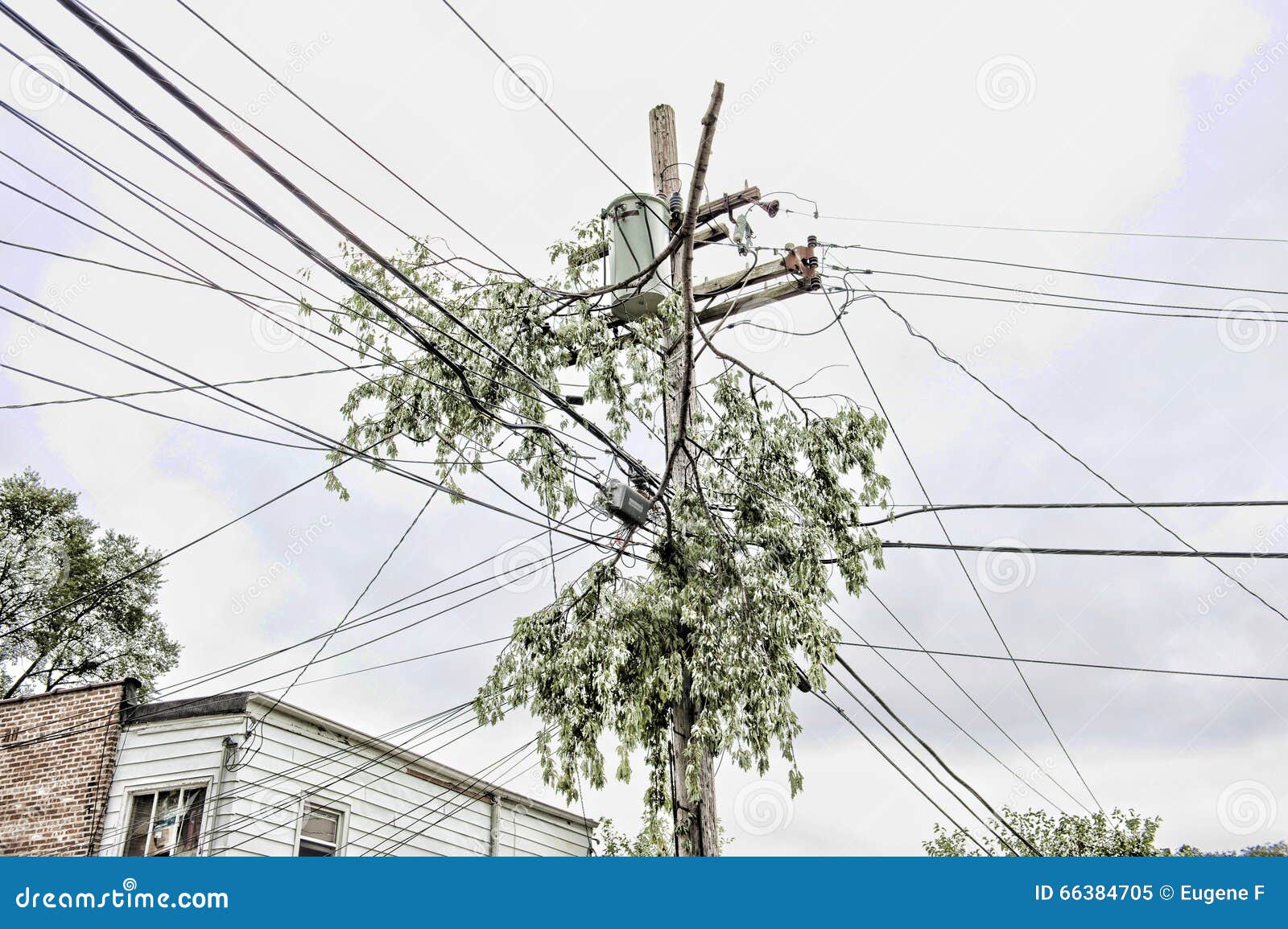 Electrical Pole Outdoors stock image. Image of outdoors - 66384705