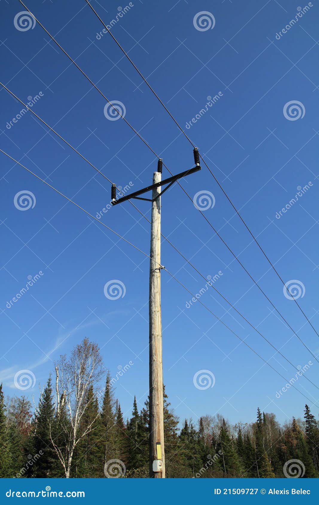 Electrical post stock image. Image of colors, trees, beauty - 21509727