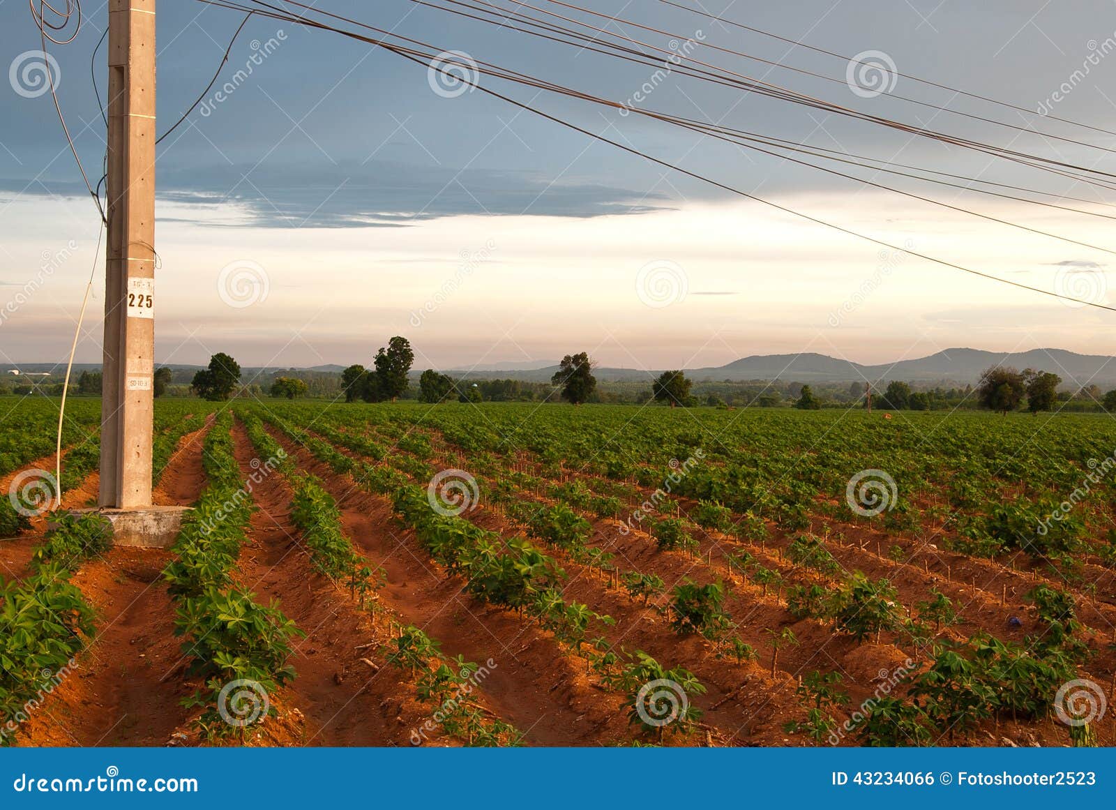 Electrical Post and Landscape Scene Stock Photo - Image of east, indoor ...