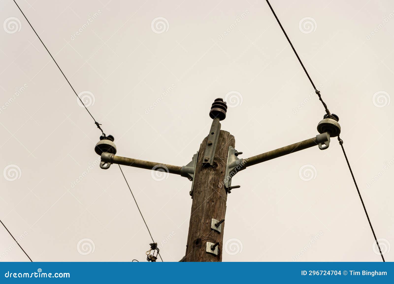 Electrical Power Lines on Power Pole Stock Photo - Image of trunk ...