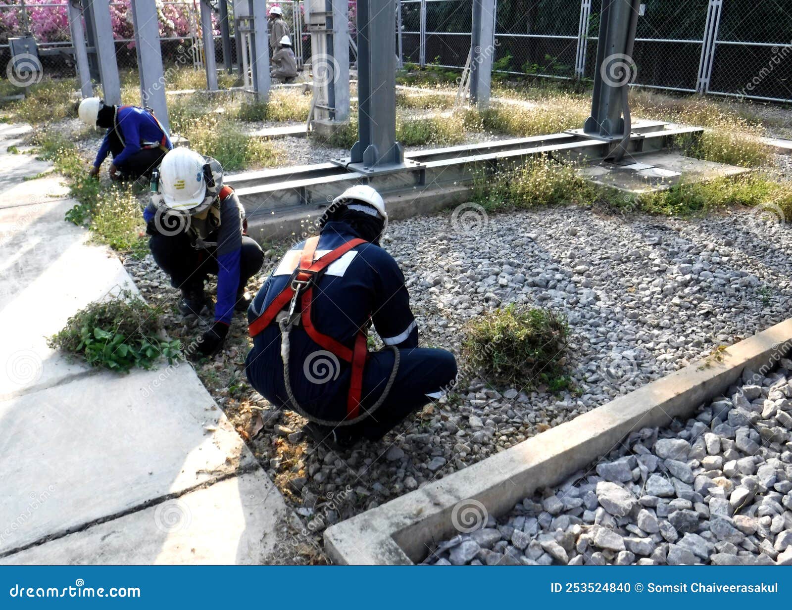 Electrical Preventive Maintenance At Site: The Test Cable Connects At ...
