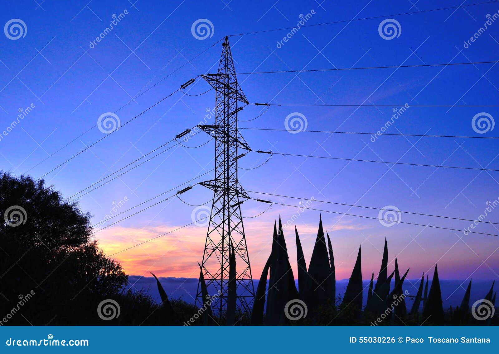 Electrical Pylon among Bushes Backlit before Sunrise Stock Photo ...