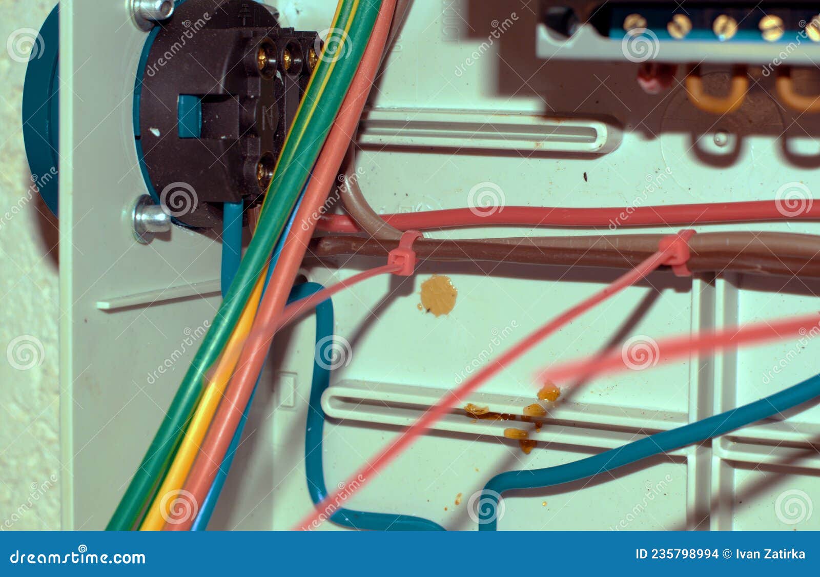 Electrical Shield and Copper Cable for Power Connection. Stock Photo ...