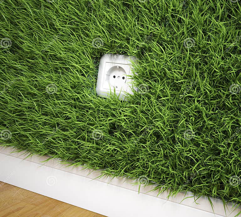 An Electrical Socket on a Grass Stock Image - Image of environmental ...