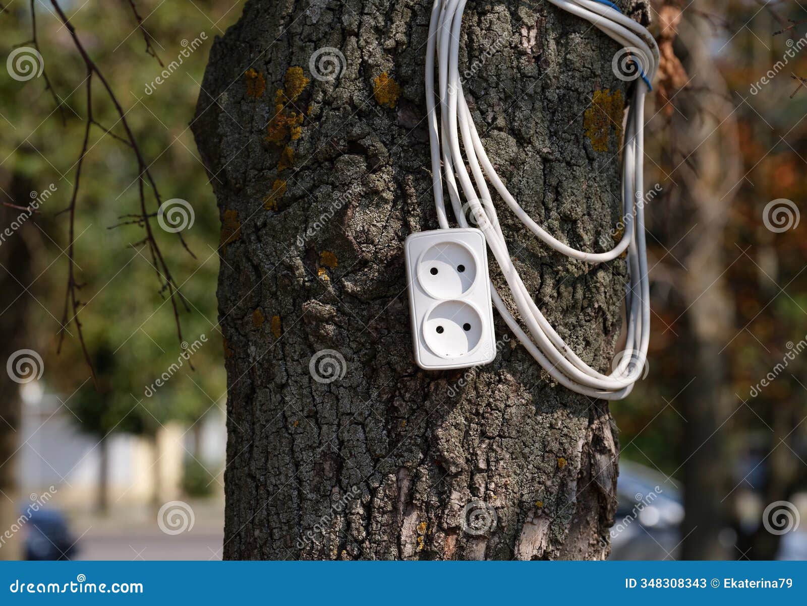 Electrical Socket Hanging on the Tree. Stock Image - Image of energy ...