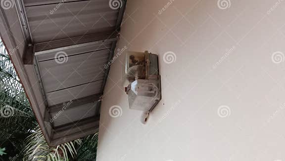 Electrical Switch To Turn Electricity on or Off Stock Photo - Image of ...