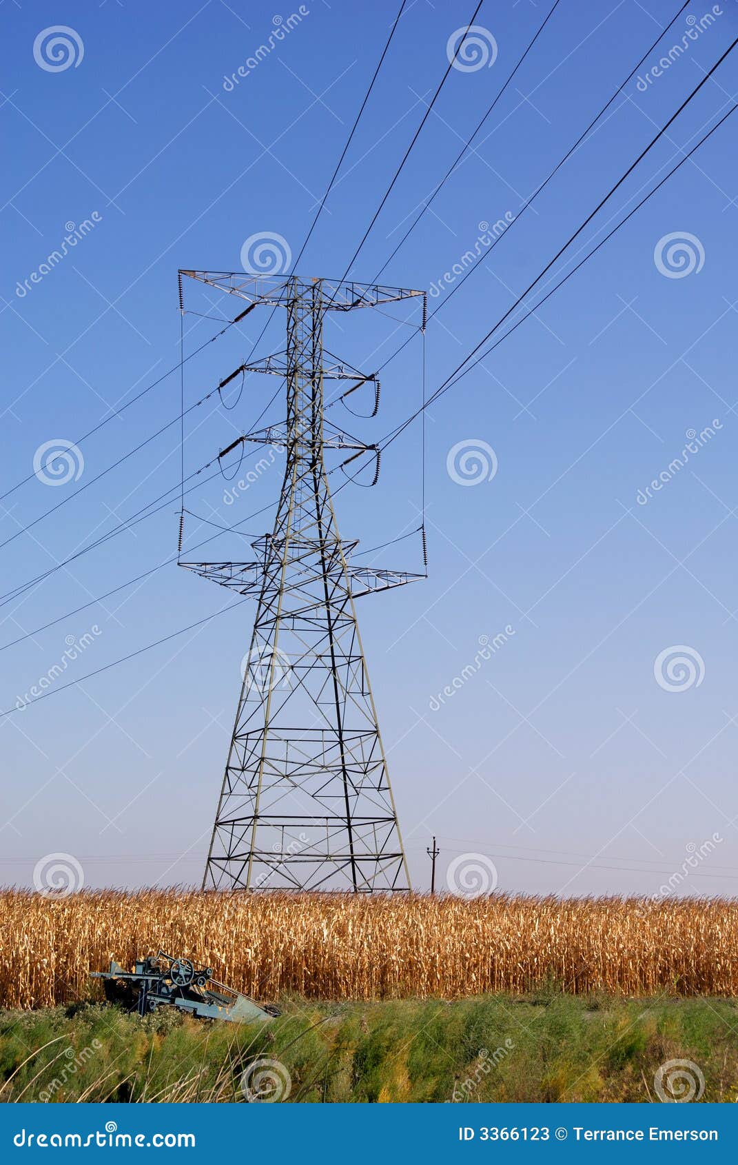 Electrical Towers and Corn stock image. Image of agriculture - 3366123
