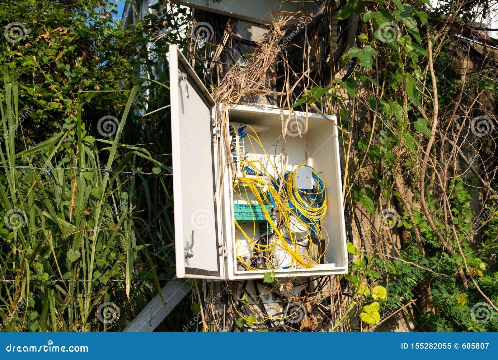Electrical Wire and Cable Installing Confusion of Electricity on a Tree ...