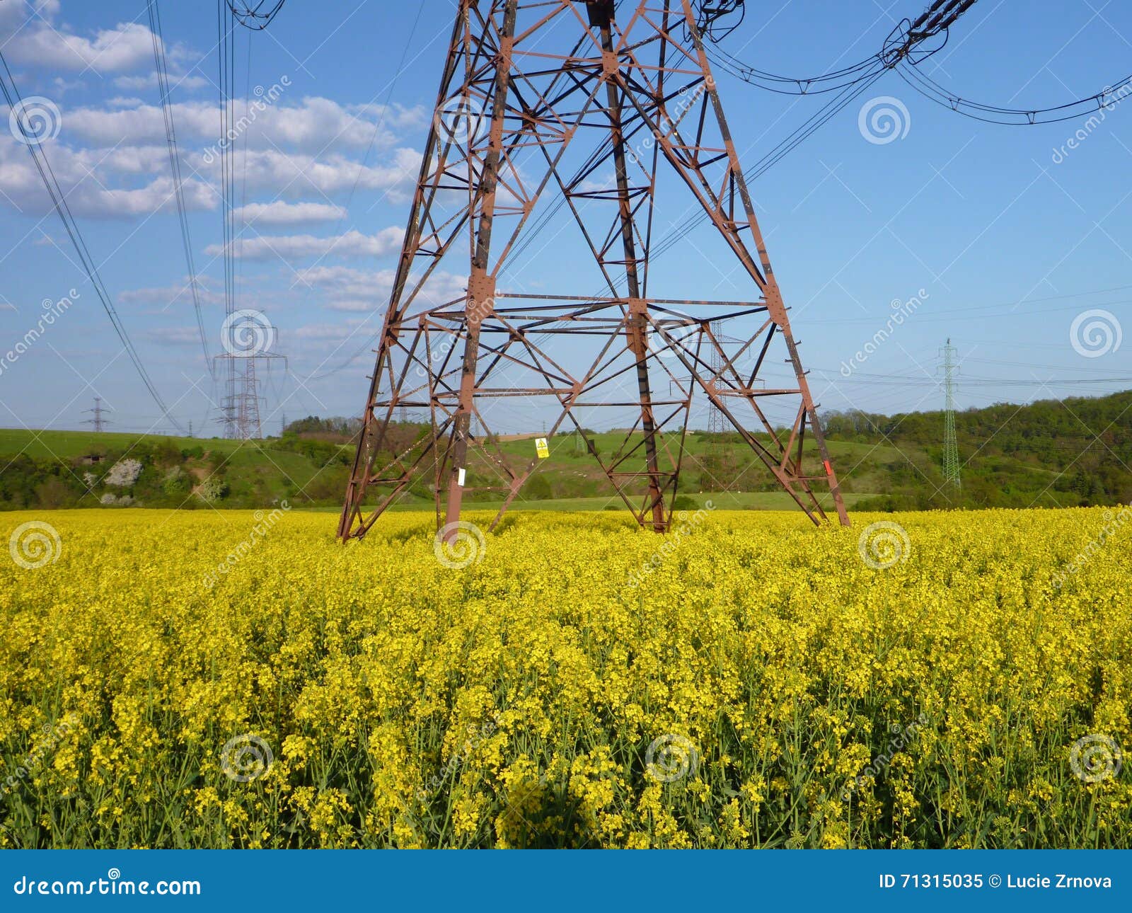 Electrical Wire Tower in a Yellow Field Stock Image - Image of green ...