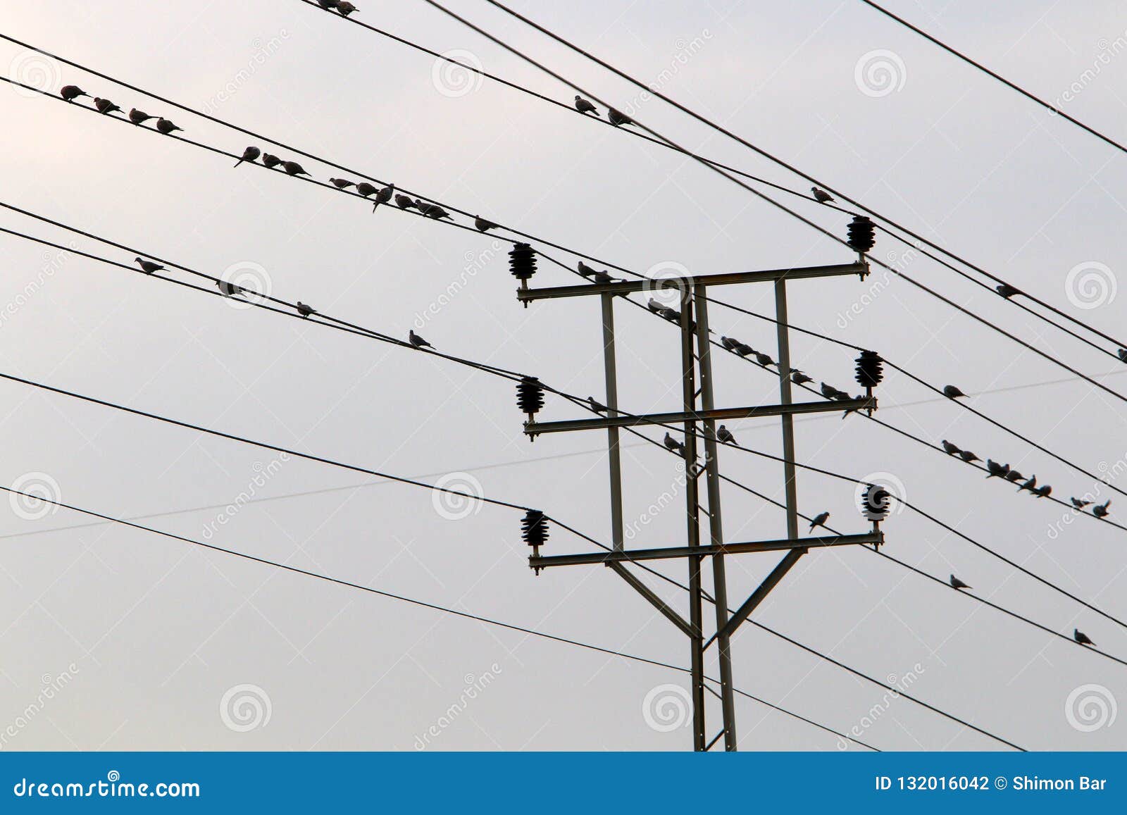 Power line wire stock photo. Image of wind, industry - 132016042