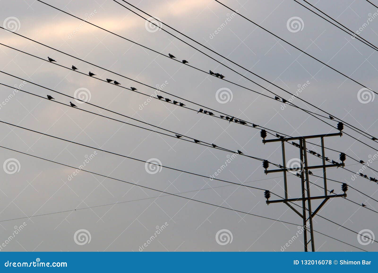 Power line wire stock photo. Image of electrical, wire - 132016078