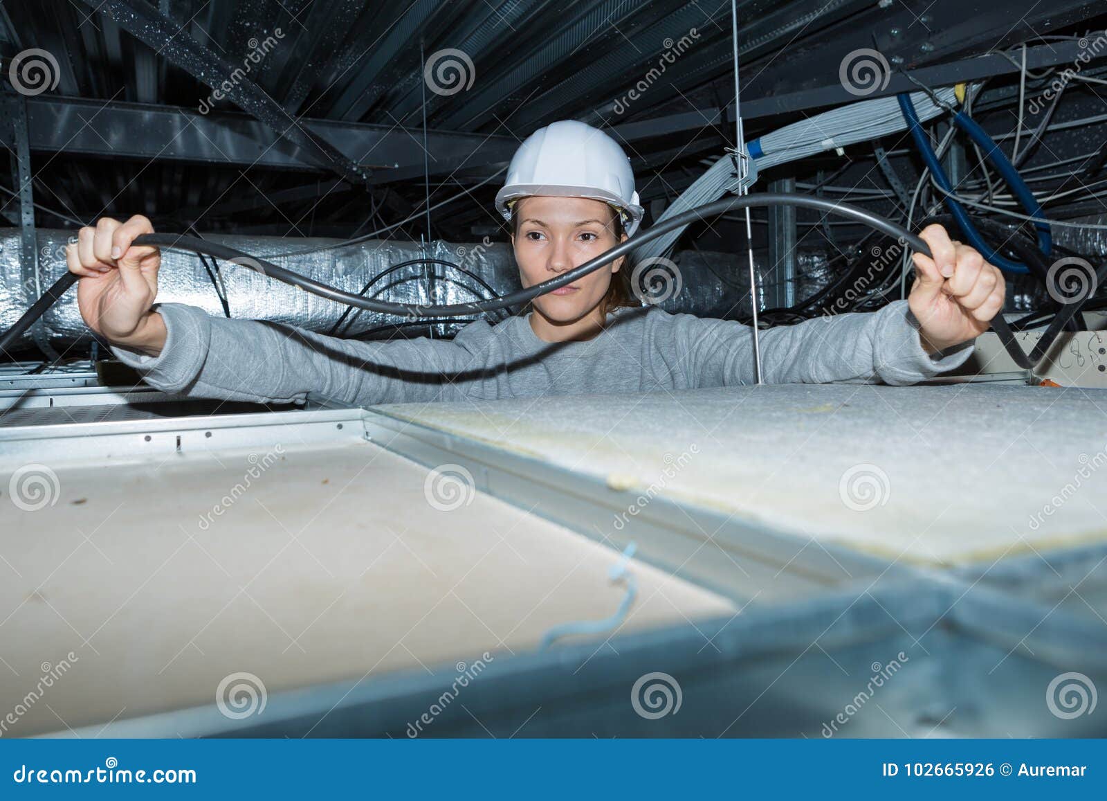 Electrician Flexing Length Cable Stock Photo - Image of electricity ...