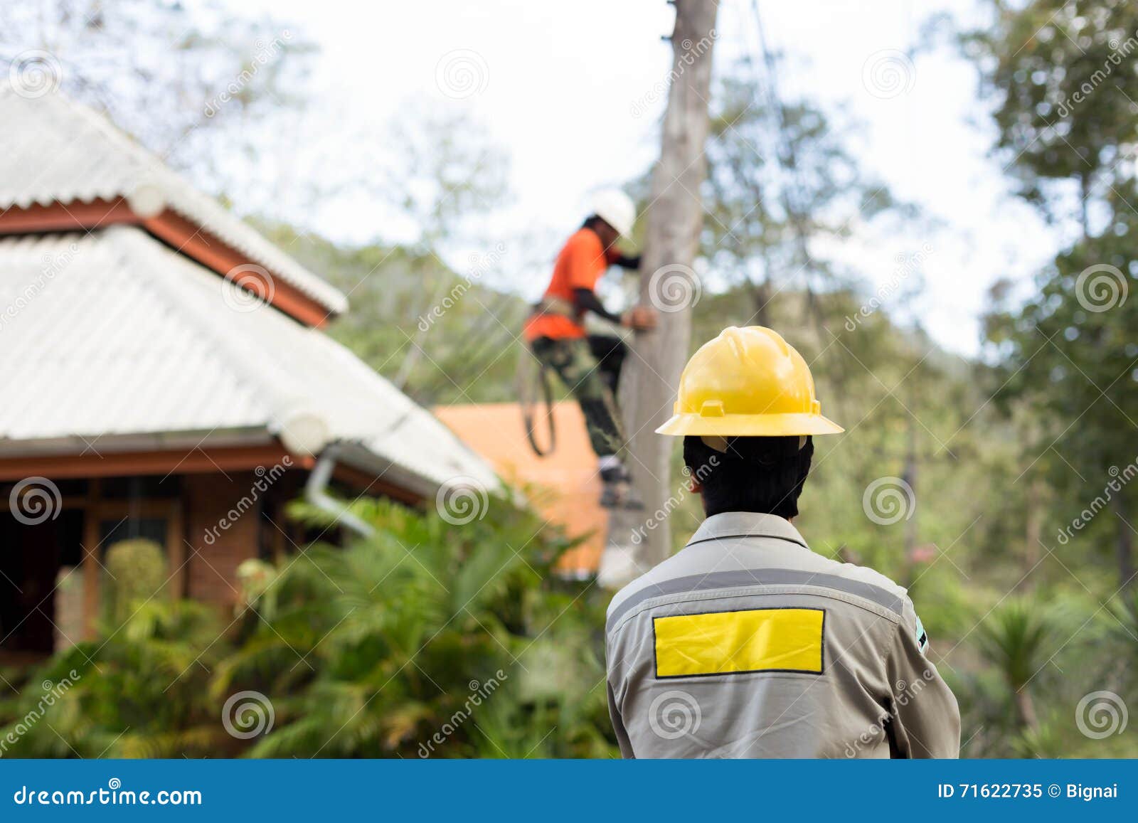 Electrician Lineman Repairman Worker on Electric Post Power Pole Stock ...