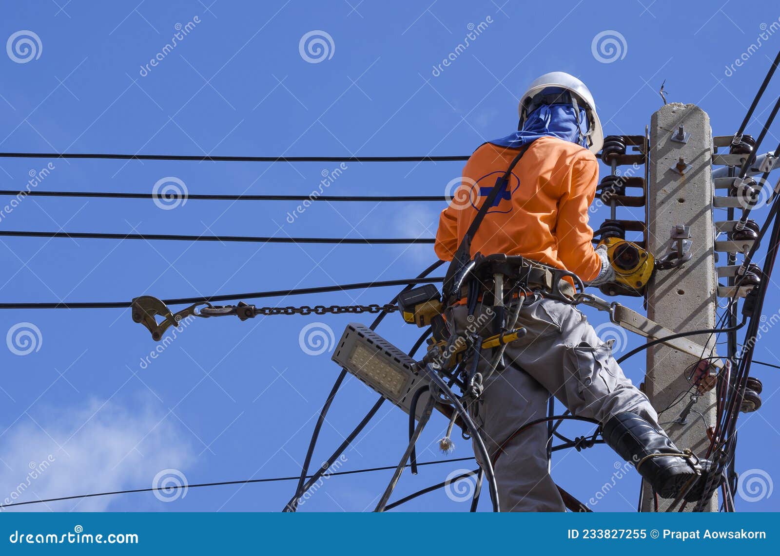Electrician with Safety Equipment is Installing Cable Lines and ...