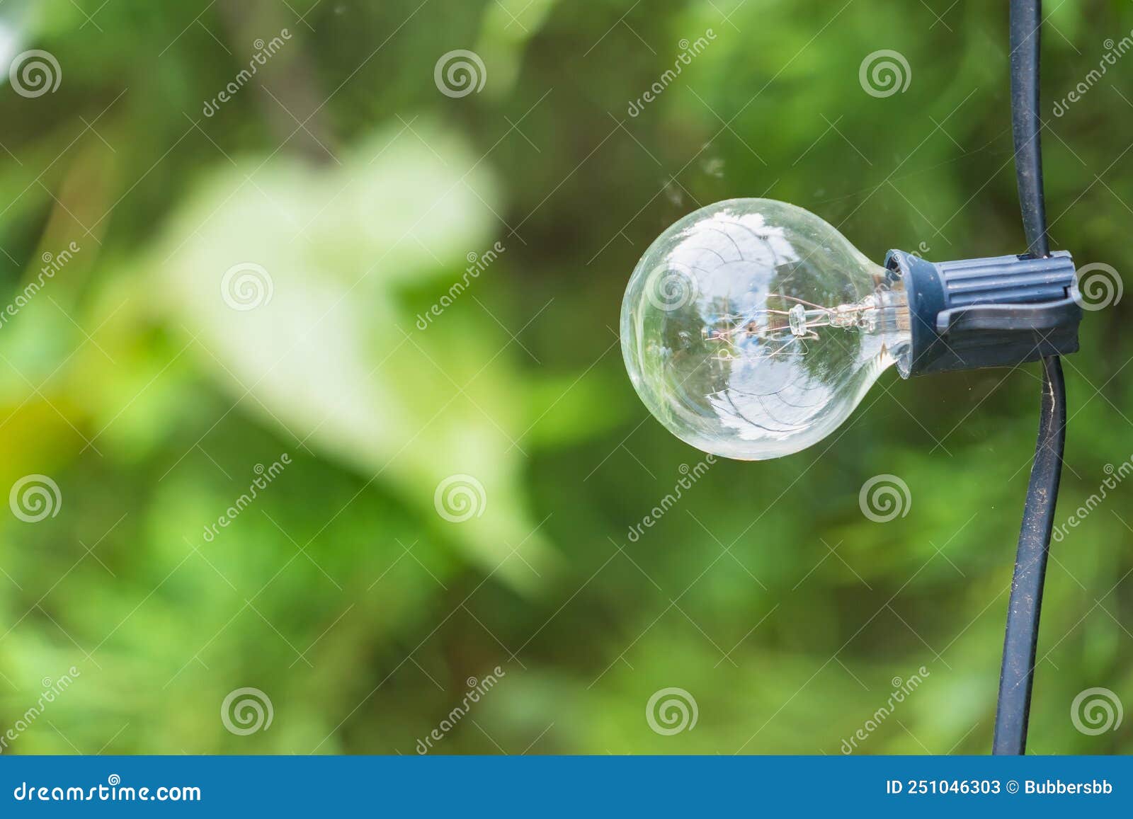 Electricity Bulbs in the Park Stock Image - Image of garden, feast ...