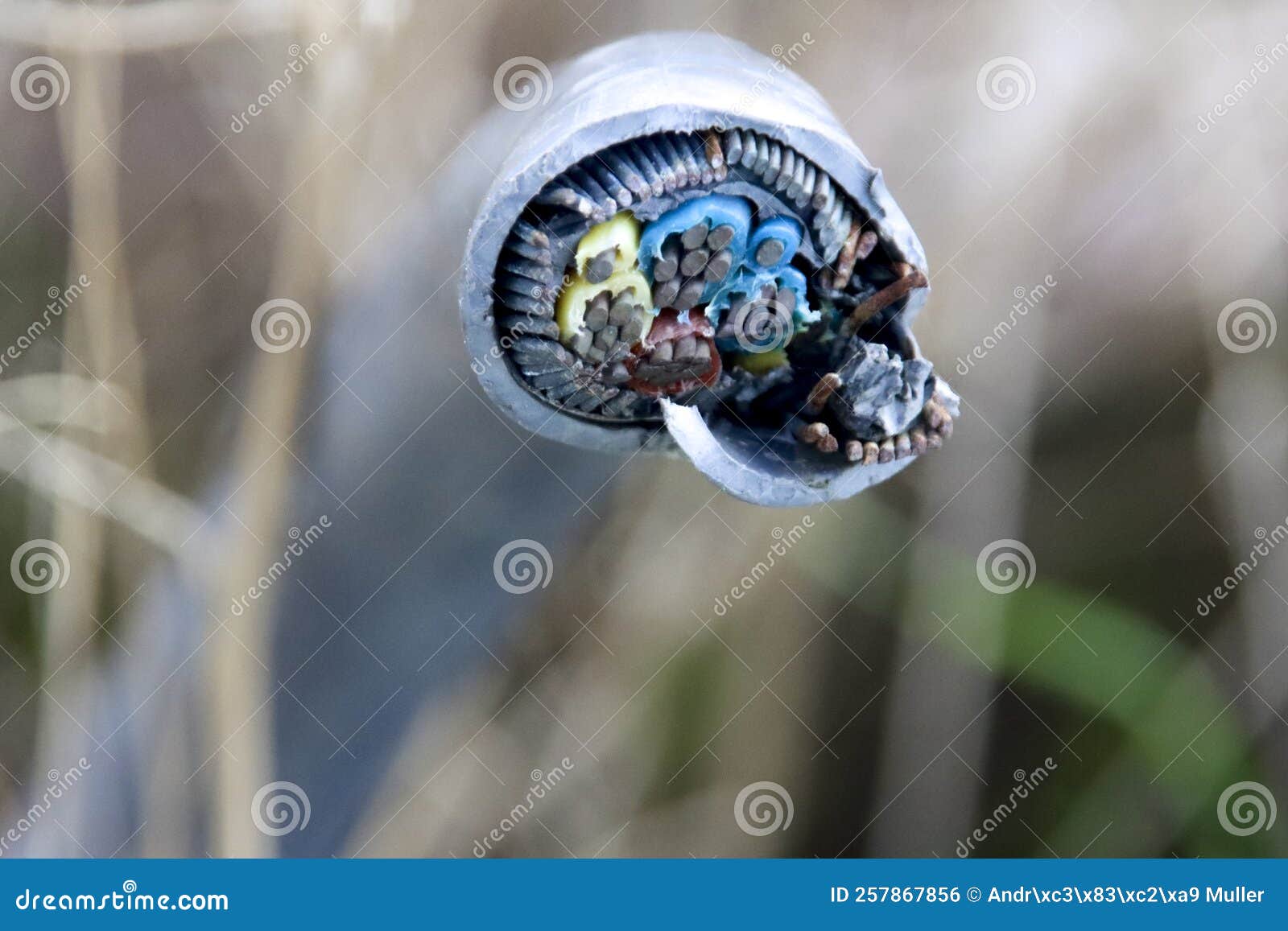 Electricity Cable Cut through and Causing a Short Circuit Stock Photo ...
