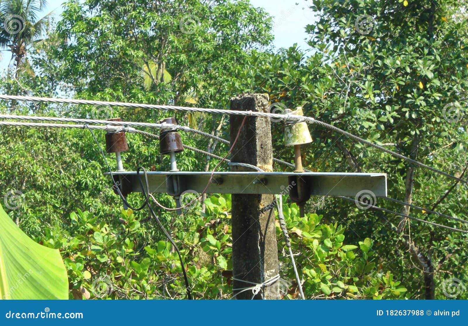 Electricity Cable Stand in the Centre of Forest Stock Photo - Image of ...