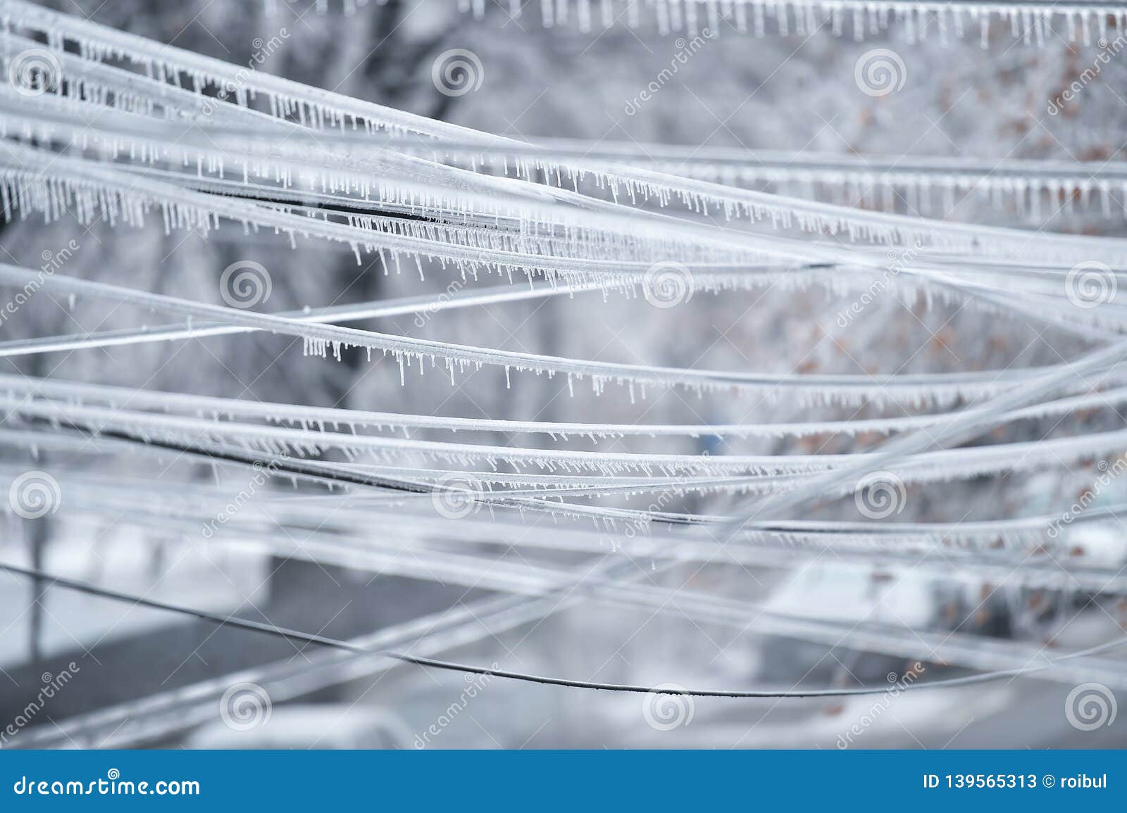 Electricity Cables Covered in Ice after Frozen Rain Stock Image - Image ...
