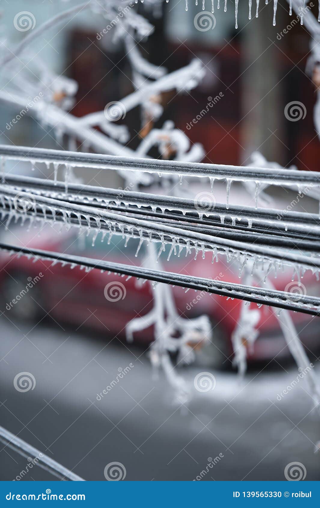 Electricity Cables Covered in Ice after Frozen Rain Stock Photo - Image ...