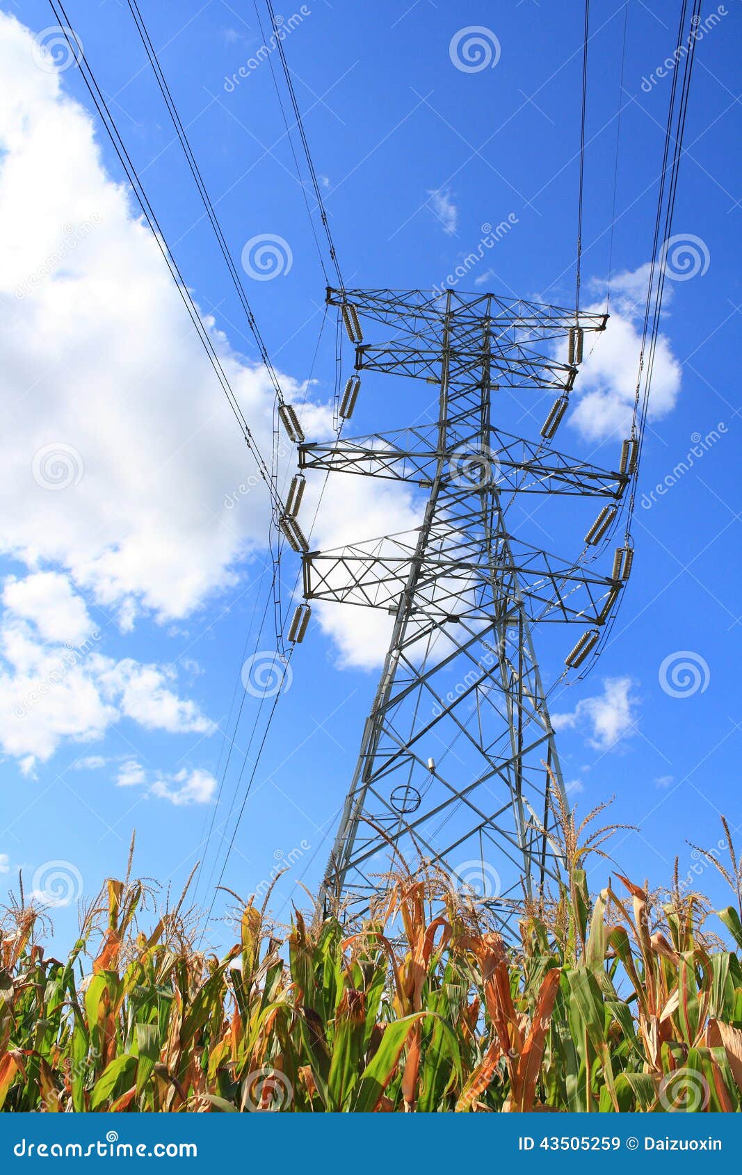 Electricity and Corn stock image. Image of cable, crop - 43505259