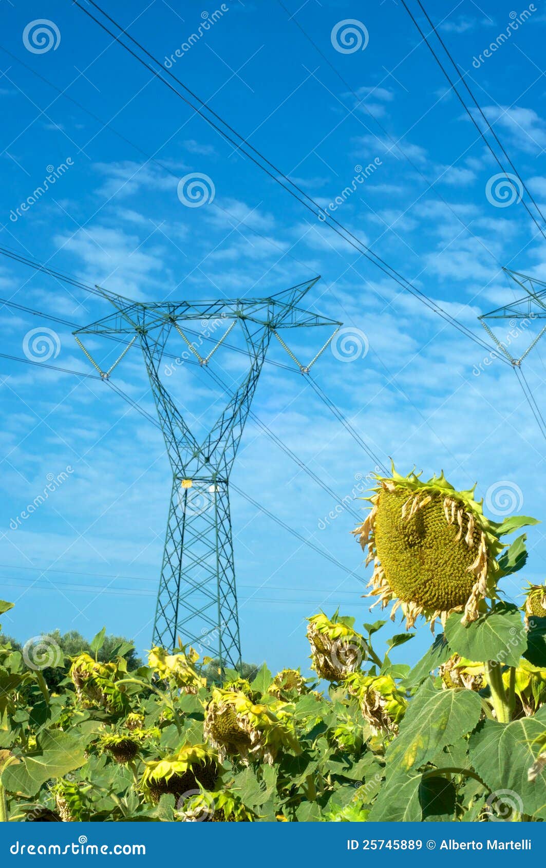 Electricity and nature stock image. Image of generation - 25745889