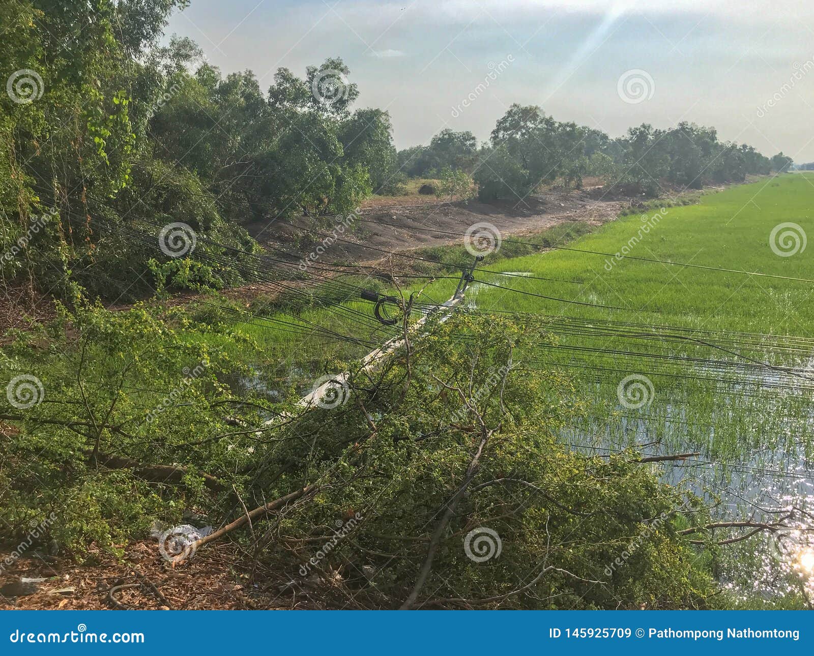 Electricity Pole Fall Down Near the Road Stock Image - Image of ...