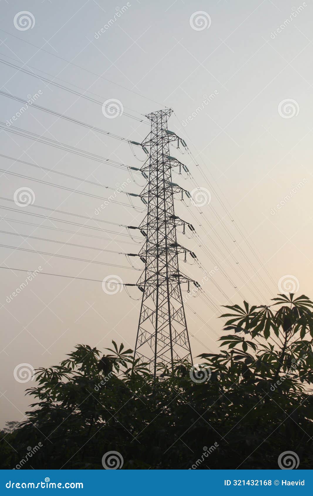 Electricity Pole Substation in the Middle of the Garden Stock Photo ...