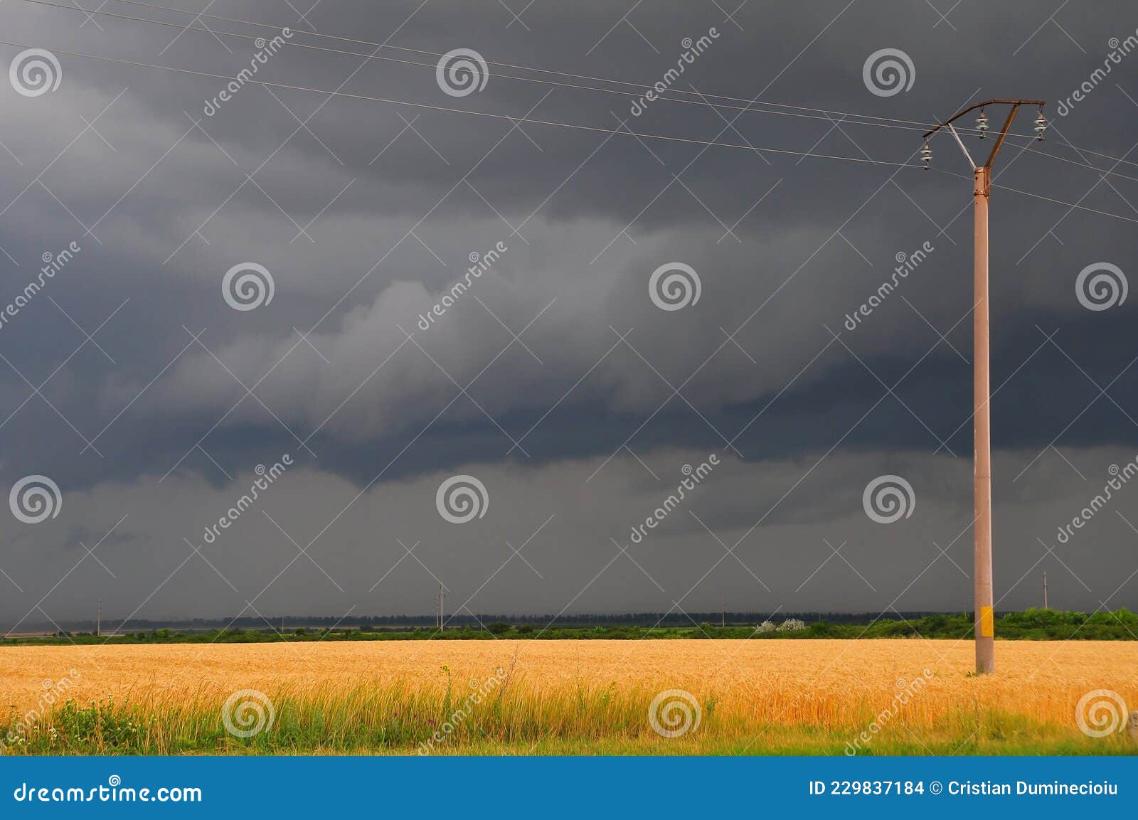 Heavy Storm Clouds Over the Wheat Field Stock Photo - Image of farm ...